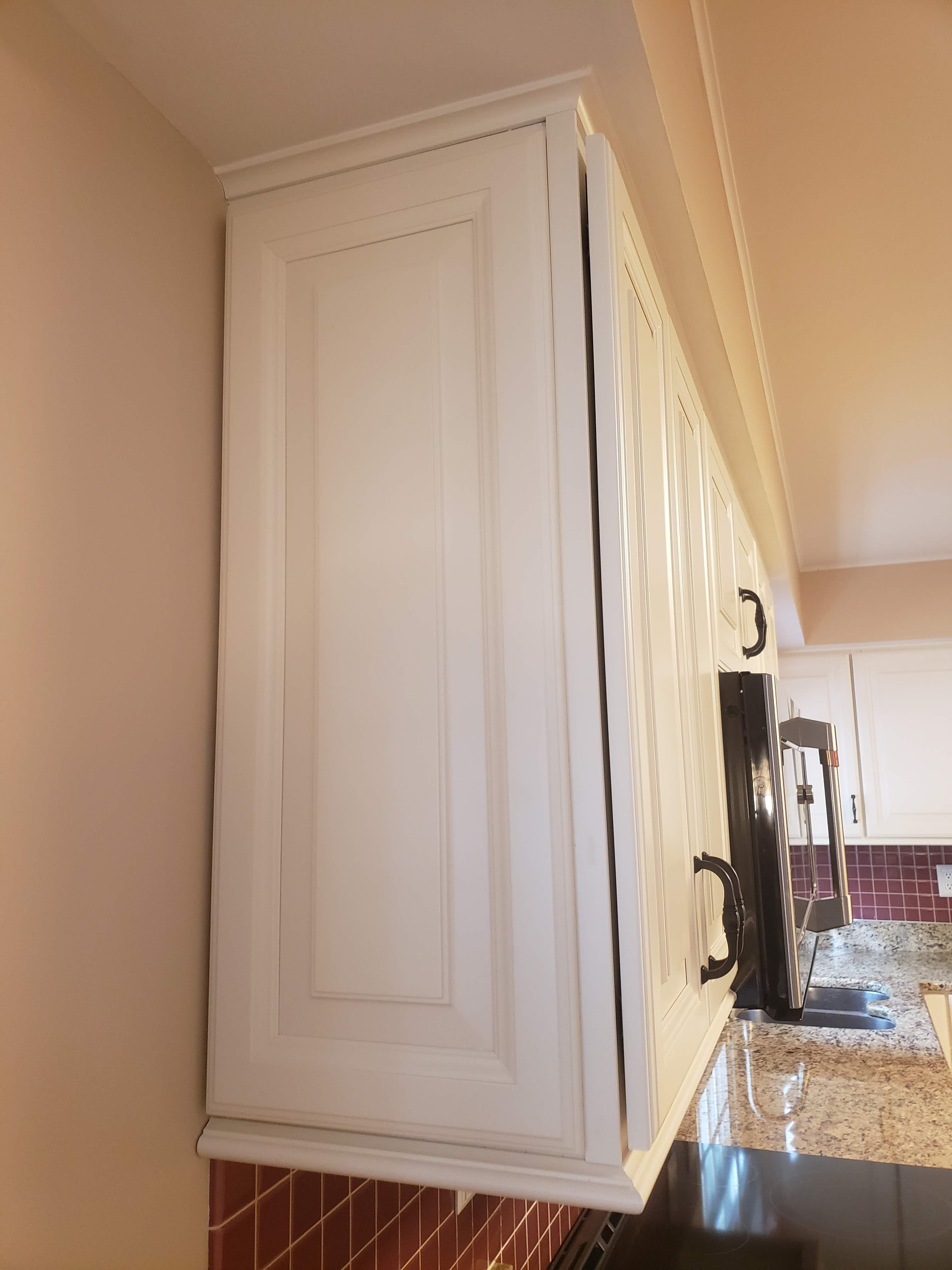 Slant Raised Panel w/ Elite H-2 Frame in Crystal, Cove Molding, B11 ...